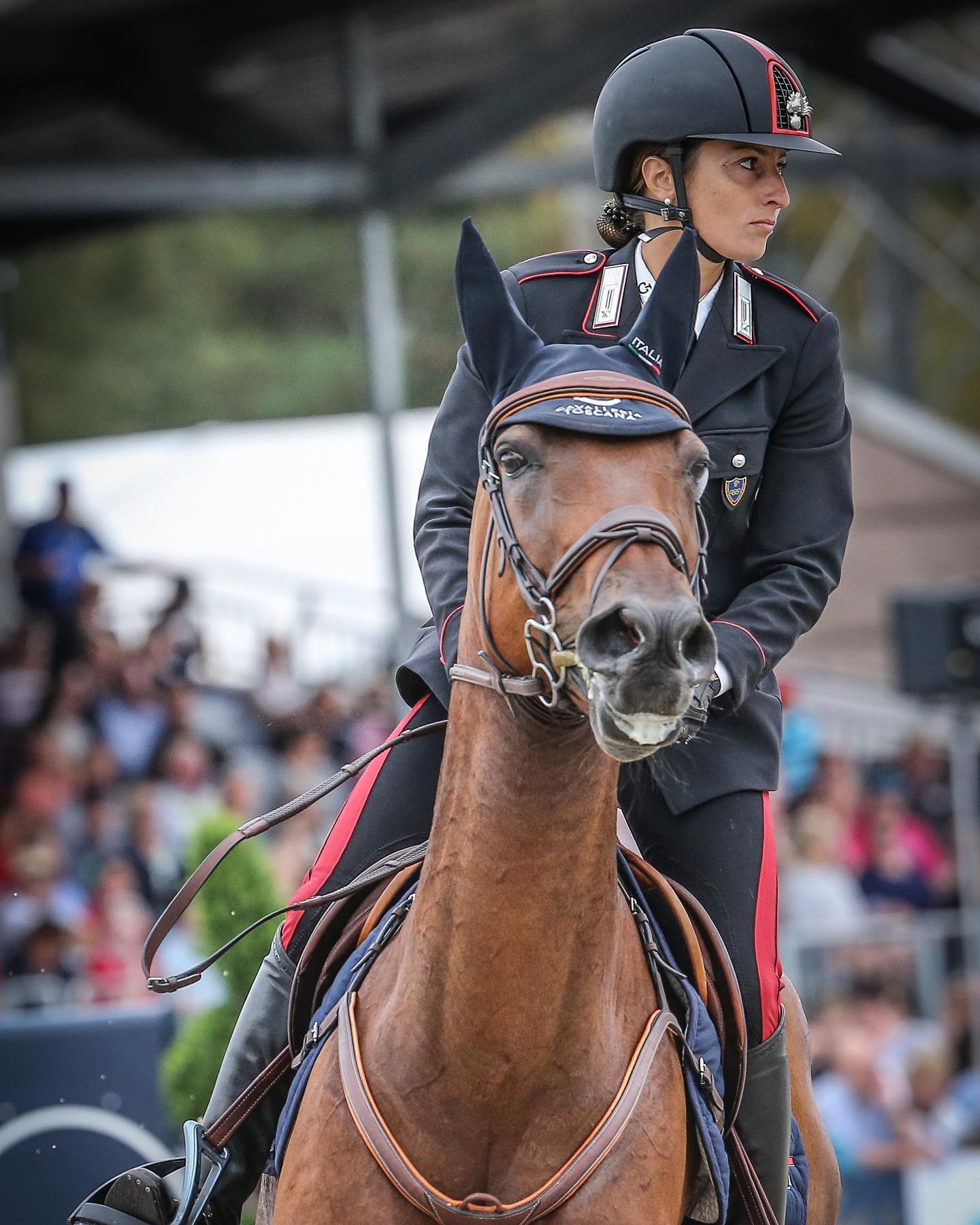Arianna Schivo: "L'equitazione ha portato grande senso alla mia vita ...